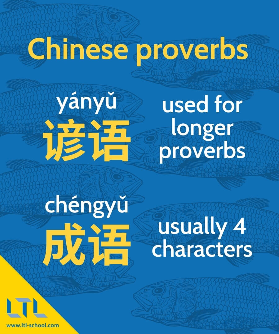 Chinese Proverbs (+ Quiz) || 11 Of The Best Proverbs Explained