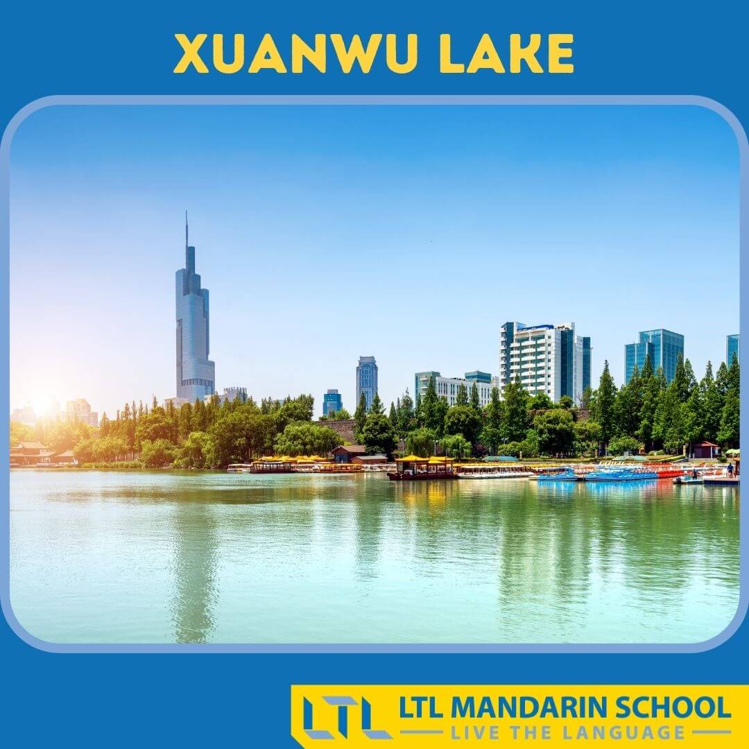 Things To Do In Nanjing // 8 Top Places, Reviewed & Revealed | LTL Shanghai