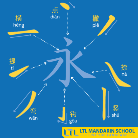 Chinese Stroke Order // 11 (Vital) Rules You Should Know | LTL Shanghai