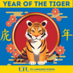 Chinese Zodiacs || Year of the Tiger (A Complete Guide) | LTL Shanghai