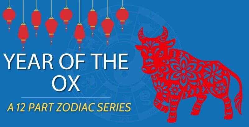 Chinese Zodiacs || Year of the Ox 🐂 (A Complete Guide) | LTL Shanghai