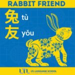 Chinese Zodiacs || Year of the Rabbit (The Ultimate Guide)