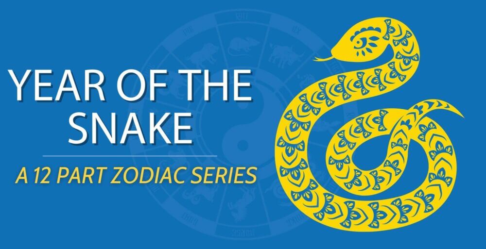 Year Of The Snake Description