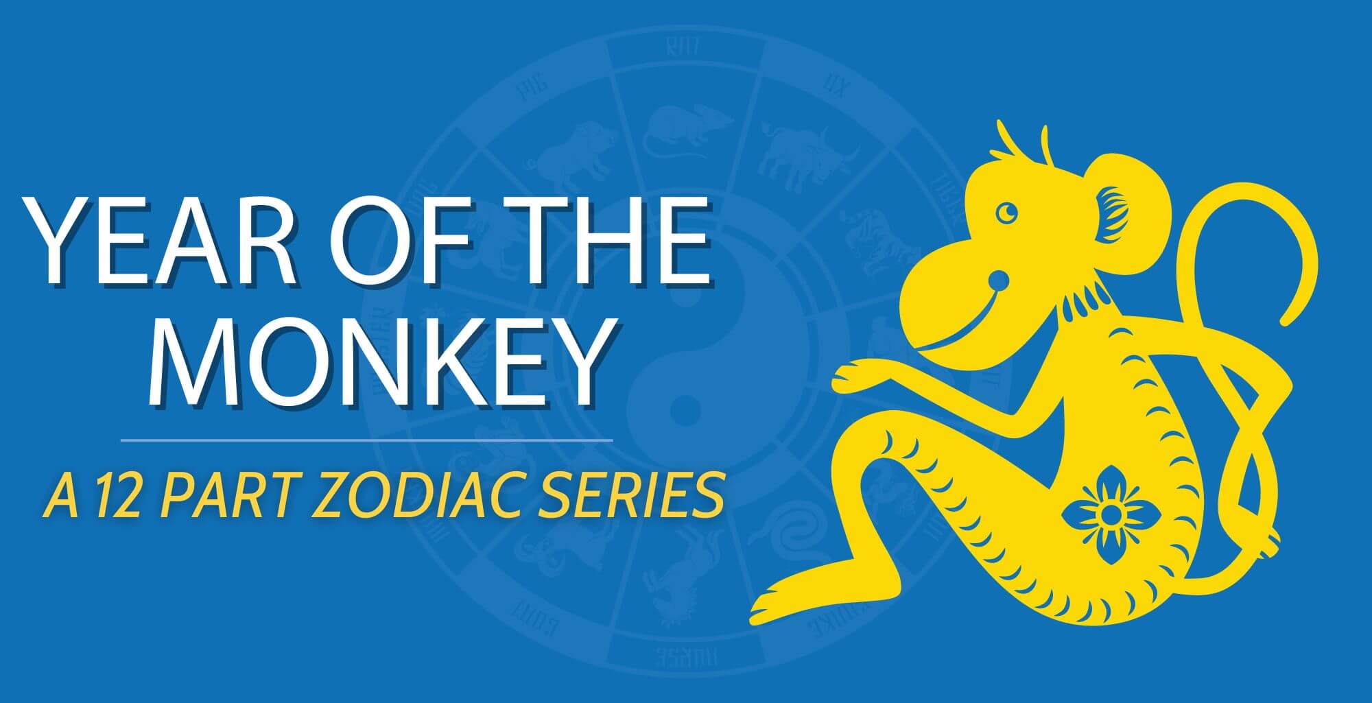 The Year of the Monkey in 2025: Everything You Need to Know
