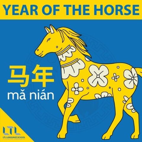 Chinese Zodiacs 🐴 Year of the Horse (Ultimate Guide)